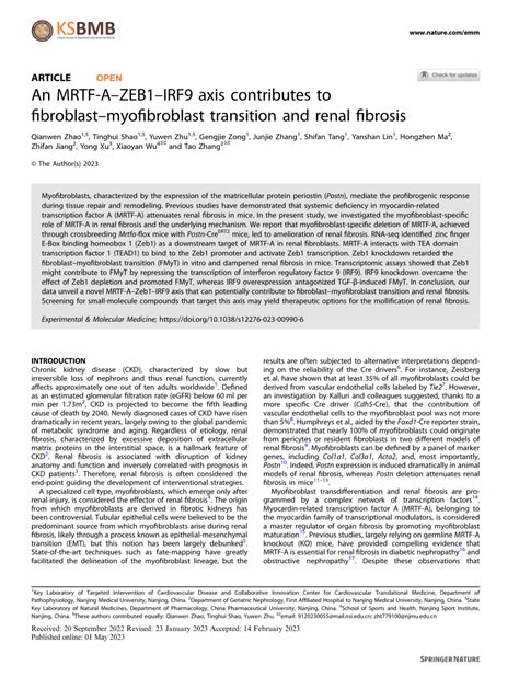 Pdf An Mrtf A Zeb1 Irf9 Axis Contributes To Fibroblast Myofibroblast