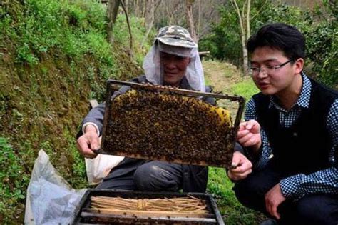 给蜂蜜喂白糖产的蜂蜜是好还是坏老蜂农无奈说出实情 东方养生频道 东方养生