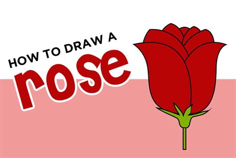 How To Draw A Red Rose Step By Step With Pictures And Names