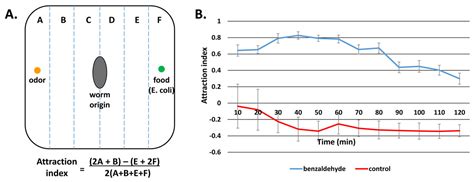 Odor Dependent Temporal Dynamics In Caenorhabitis Elegans Adaptation