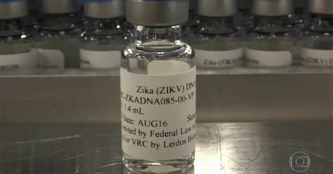 Jornal Nacional Testes Da Vacina Contra Vírus Da Zika Começam Em