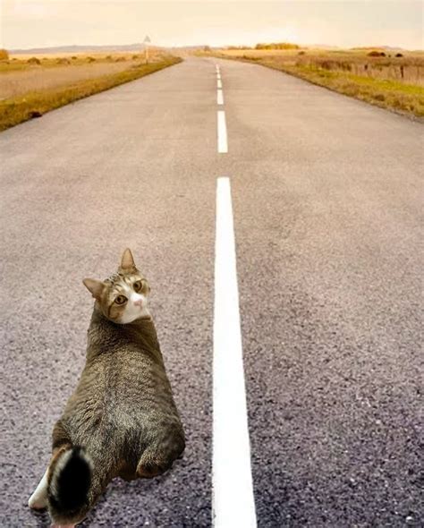 ステーブルディフュージョン環境構築覚書