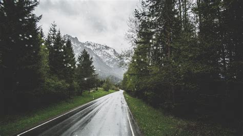 Hintergrundbilder Natur Landschaft Straße Bäume Gras Pflanzen