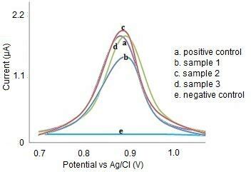 Differential Pulse Voltammograms For Hybridization Between Probes DNA Download Scientific