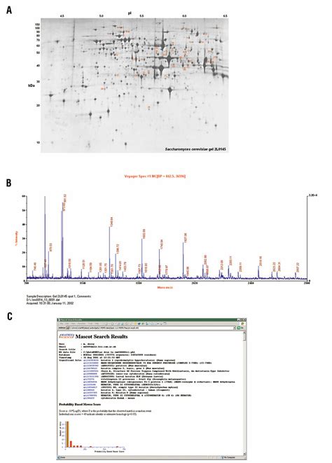 Examples Of The Types Of Data Generated By Proteomics Experiments A Download Scientific