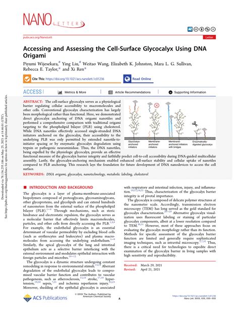 Pdf Accessing And Assessing The Cell Surface Glycocalyx Using Dna Origami