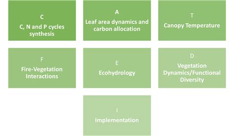 Working Groups Lemontree