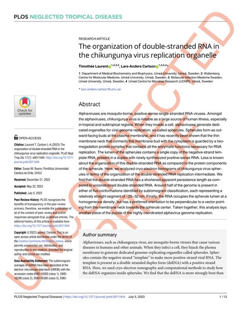 Pdf The Organization Of Double Stranded Rna In The Chikungunya Virus