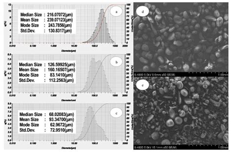 Particle Size At Different Stirring Speeds A 800 Rpm B 1000 Rpm Download Scientific