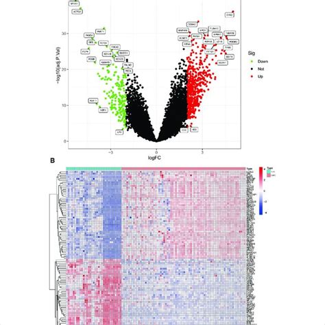 Identification Of Degs In The Crpc Training Cohort A Volcano Plot Of