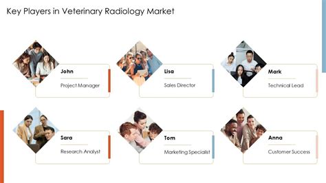 Market Size Of Installed Veterinary Radiology Systems Ppt Demonstration Acp Ppt Presentation