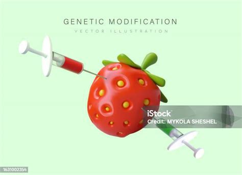 액체가 든 두 개의 주사기로 뚫린 3d 딸기 유전 공학 Gmo 산 딸기류에 대한 스톡 벡터 아트 및 기타 이미지 산 딸기류 혁신 개념 0명 Istock