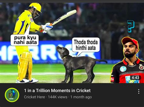 Mahi Maar Rha Hai Rindiandankmemes