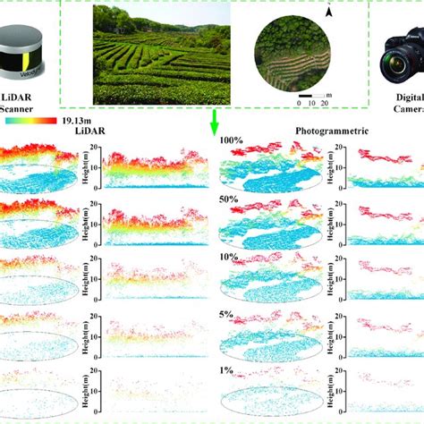 Illustration Of Percentage Based UAV Point Cloud Data Density Reduction