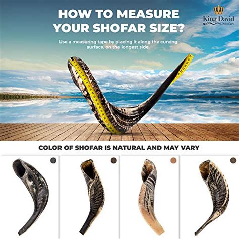 Shofar Horn Instrument Ram Shofar Angels Musical Instrument Horn