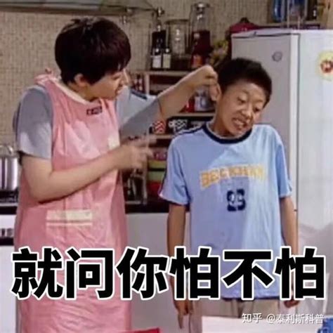 第三十一期光学望远镜特辑之丽江2 4米望远镜 知乎
