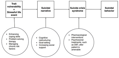 The Narrative Crisis Model Of Suicide As An Emerging Framework For