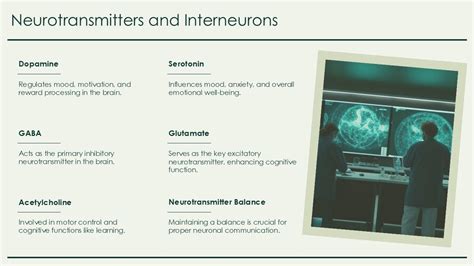 Understanding Interneurons Key Brain Cells Explained Ppt Sample St Ai Ppt Example