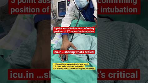 5 Point Auscultation For Confirming Position Of Et Tube After