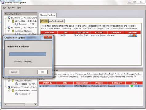 Learning Soa How To Use Smart Update In Weblogic To Update Patch