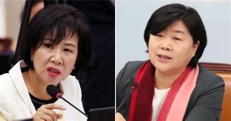 민주당 서영교 당직 사퇴 결정·손혜원 판단 보류