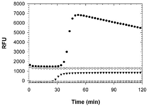 Figure A 4 Use Of Intercalating Dye Evagreen And Assimilating Probes Download Scientific