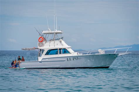 Lupo Blue Private Tour Tour Guanacaste Bringing Costa Rica To Life