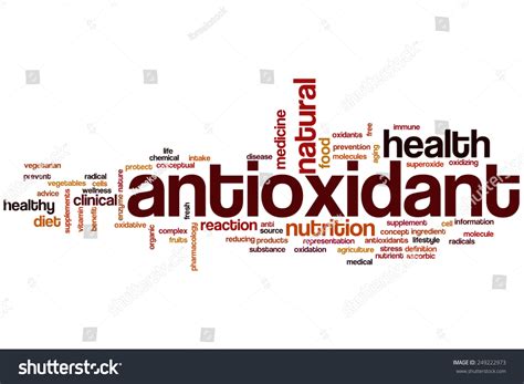 4901 항산화 과일 이미지 스톡 사진 및 벡터 Shutterstock