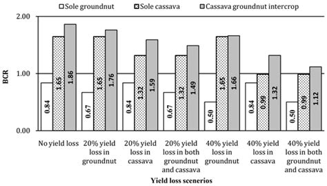 Cassava Groundnut Intercropping A Sustainable Land Management Practice For Increasing Crop