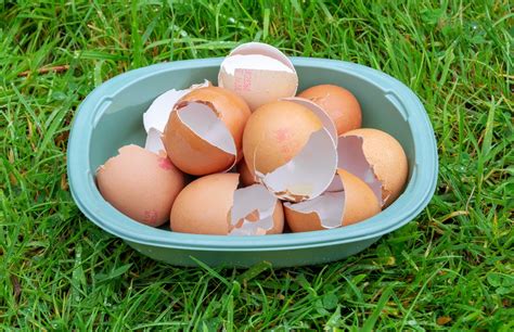 Outils de jardinage la liste des 25 plus importants pour débuter