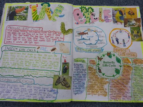 Remarkable Learning Logs