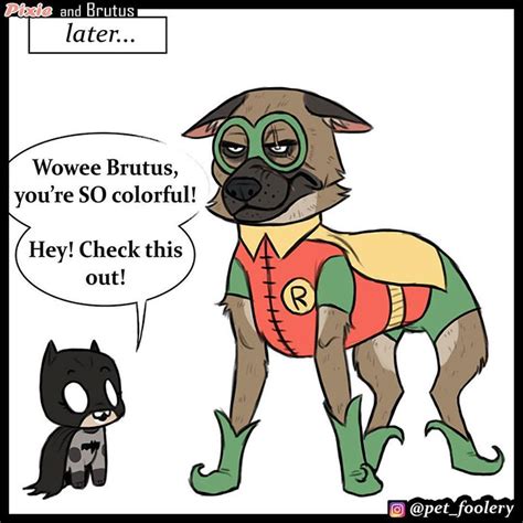 Pixie And Brutus Choose Matching Halloween Costumes And Brutus Dream To Be Batman Didnt Work