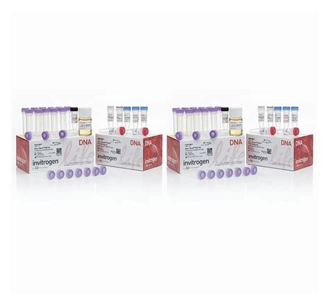 Invitrogen Zero Blunt TOPO PCR Cloning Kit With One Shot TOP10