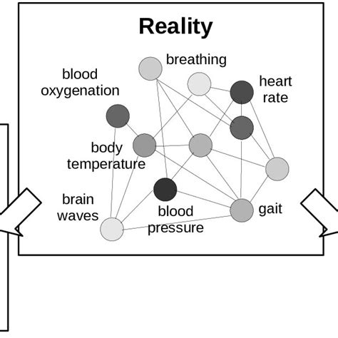 Reductionism And Complexity As 2 Alternative Approaches To Reality The