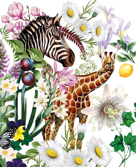 Zebra Collage A B Snell And Son
