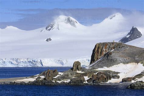 Entfernte Pinguine Auf Der Halbmondinsel Livingston Insel Im Nebel