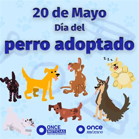 Asociacion Ecologista Rio Mocoreta 2 0 De Mayo Dia Del Perro Adoptado