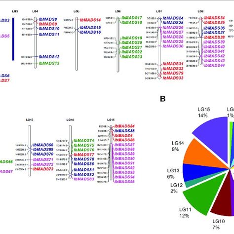 Smart Identification And Structure Of Sweet Potato Mads Box Gene A