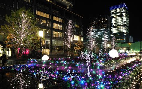 光都東京フラワーファンタジアの夜景壁紙写真keirin