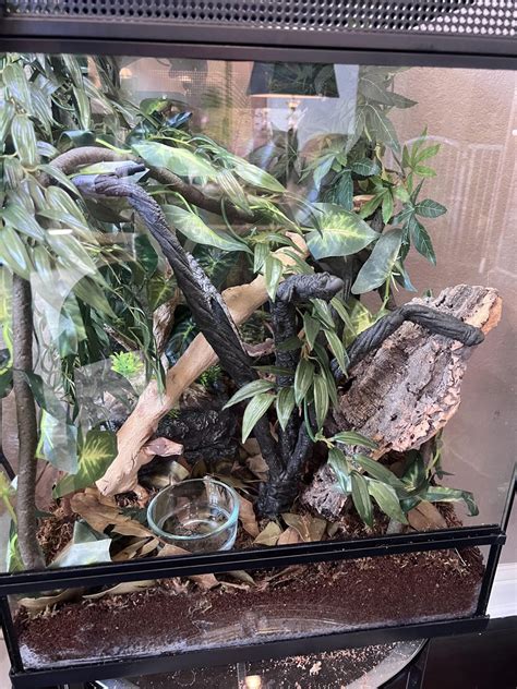 first bioactive attempt substrate question r bioactive
