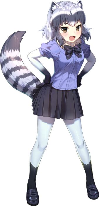 Common Raccoon Kemono Friends Kemono Friends Kemono Friends Kingdom Game Cg Official Art