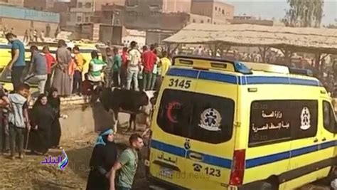 فشلا فى الارتباط شاب وفتاة ينهيان حياتهما بحبوب الغلال فى قنا