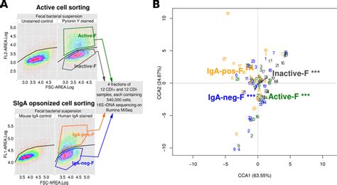 Cell Sorting Scheme And Its Impact On Bacterial Diversity Of The