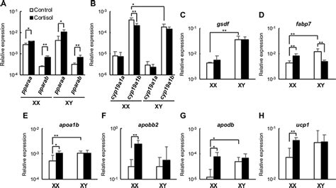 Cortisol Increases The Level Of Gene Expression In The Pparα Signalling Download Scientific