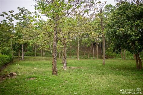 超唯美！隱身苗栗山林間的咖啡莊園 還能賞整片油桐花 Ettoday旅遊雲 Ettoday新聞雲