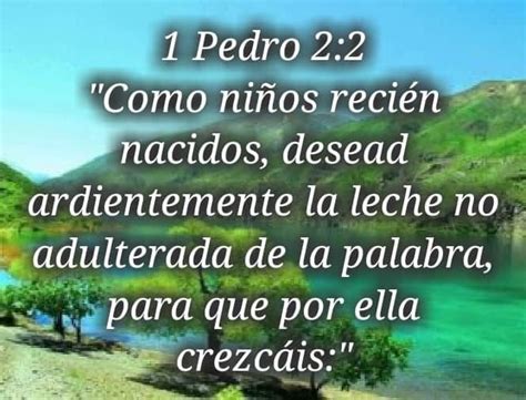Pin By Marito Hernández Farfán On Versículos Bíblicos Lockscreen