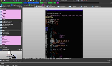 Caratteristiche E Funzionamento Di Un Disassembler In Informatica