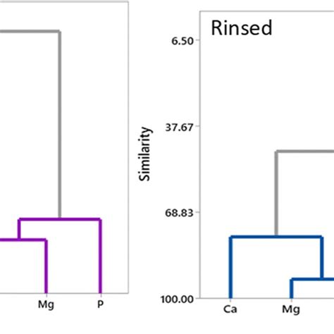 dendrogram obtained based on hierarchical cluster analysis hca for