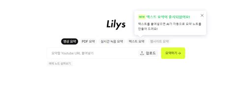 릴리스 Ai로 요약하기 Lilys Ai 사용법 Honeybottle