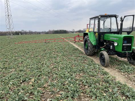 Rzepak ochrona i nawożenie Strona Rzepak Agrofoto pl Forum Rolnicze i Galeria Rolnicza